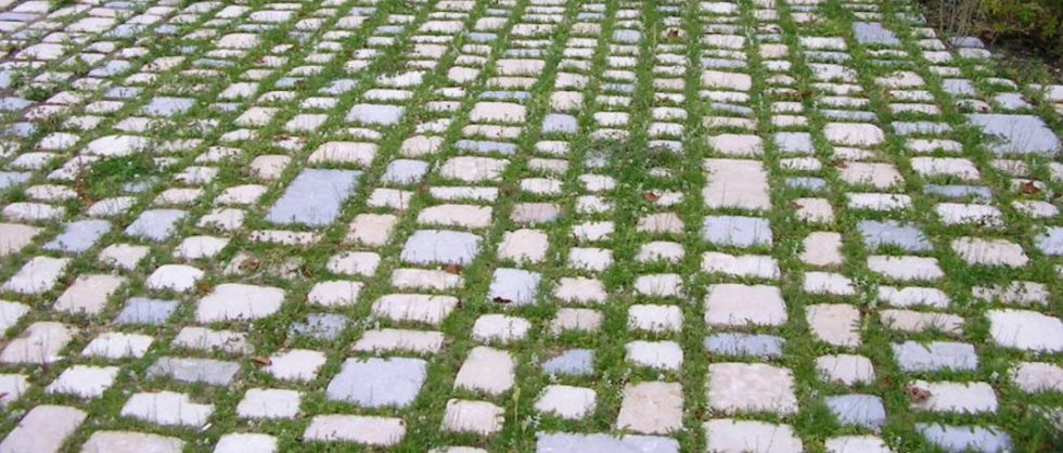 Pavé gazon : prix, pose et idées d'aménagements