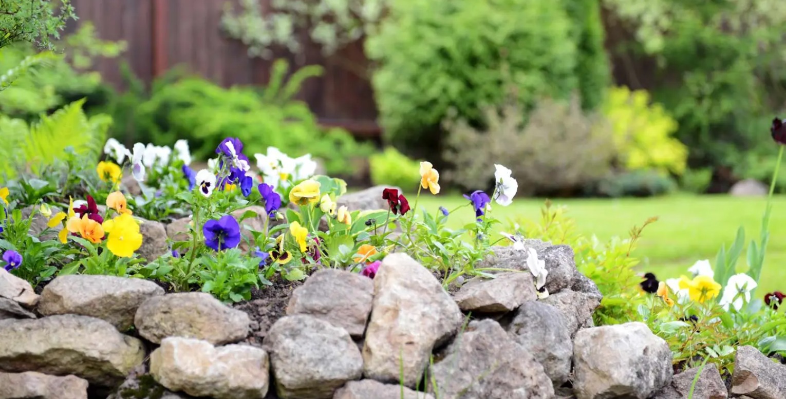 Plantes de rocaille : 8 plantes pour un bel emménagement